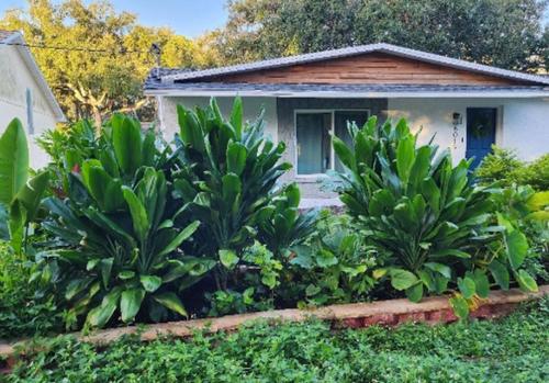 Aloha Gardens Story - Aloha Gardens